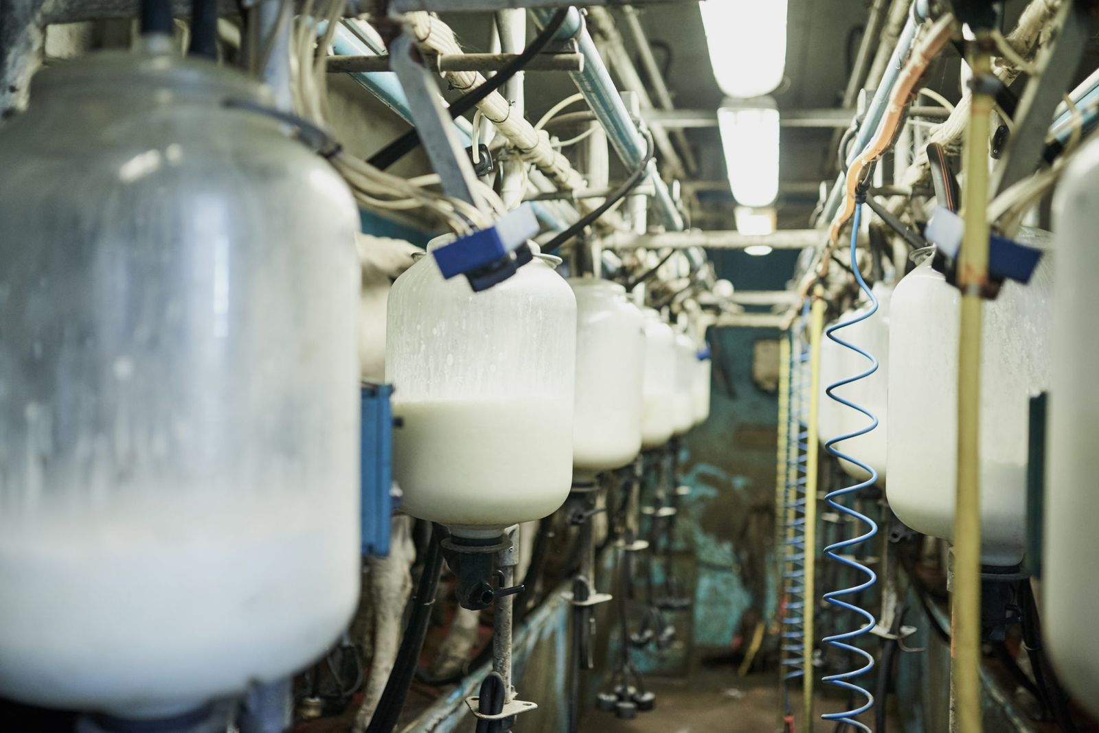CSO: Domestic milk intake down 37m litres in April - Agriland.ie