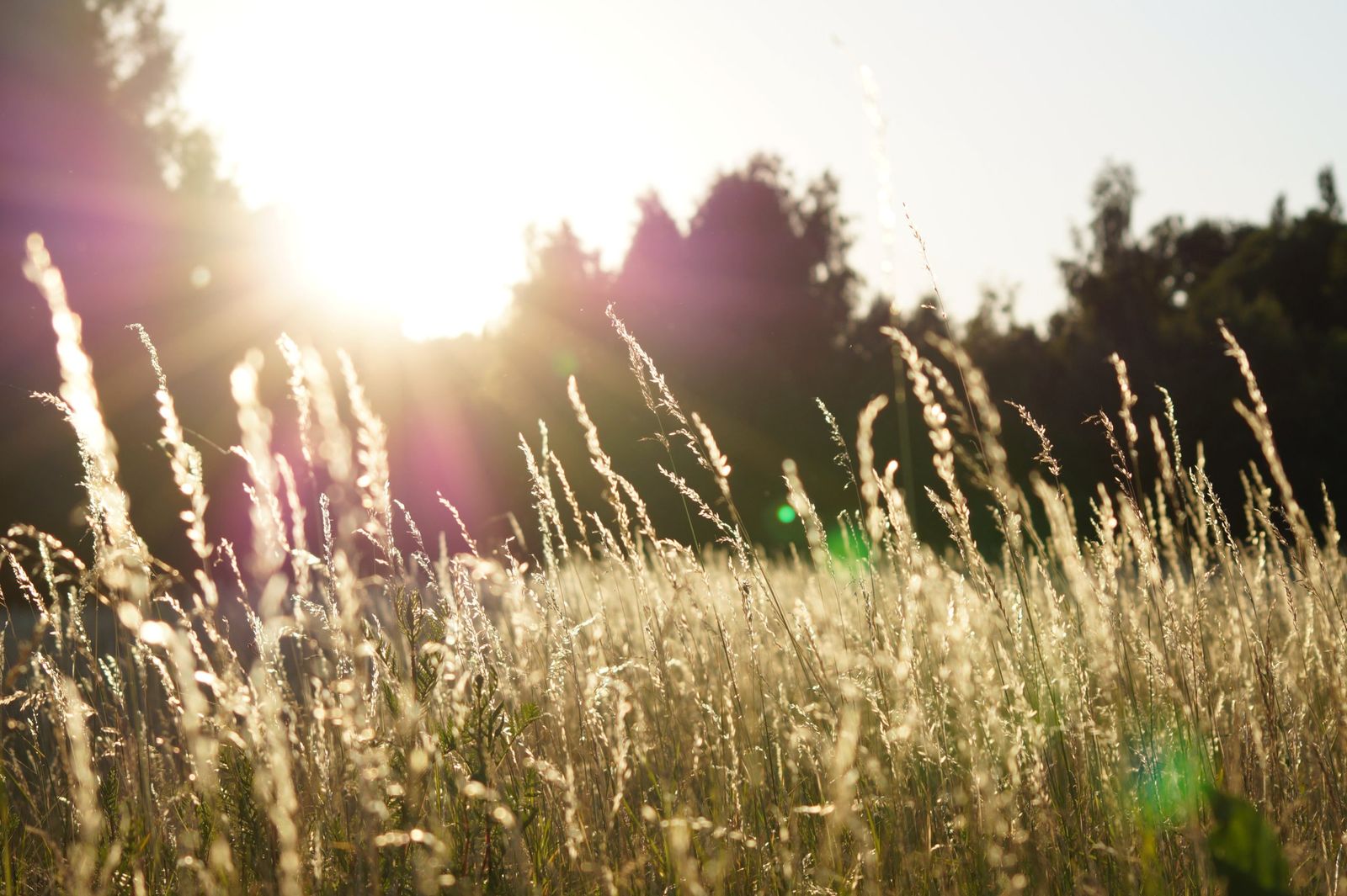 Met Éireann: Warm with plenty of dry weather this weekend - Agriland.ie