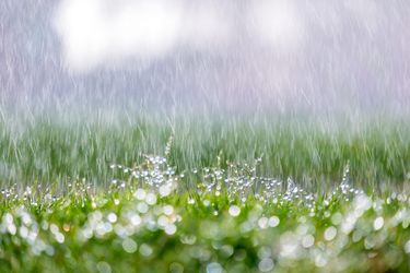 Met Éireann warns of heavy rain in southern counties - Agriland.ie