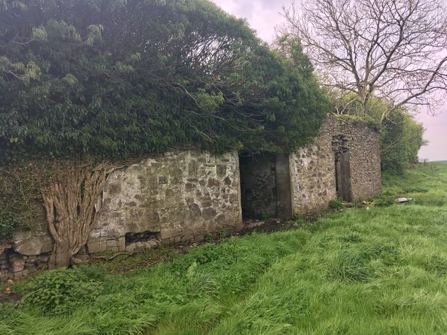 Over €45m vacant property refurbishment grants paid in Q1 2026 ...