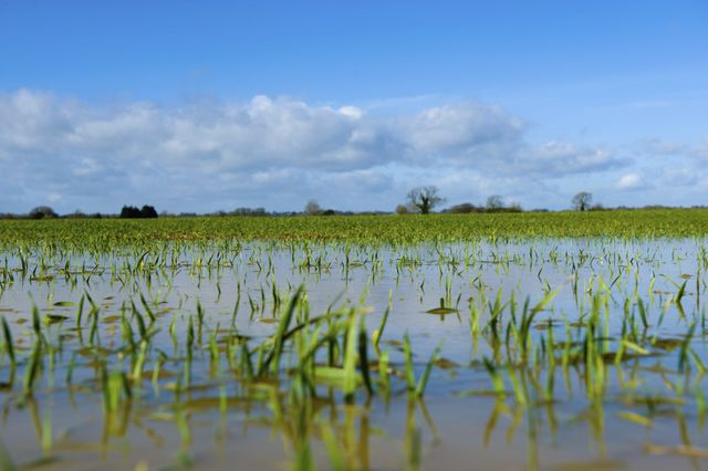 Over €56m to support EU farmers impacted by extreme weather - Agriland.ie