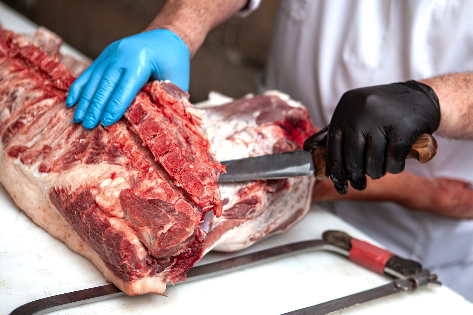 Specialist training showcases 'professionalism' of NI meat industry ...