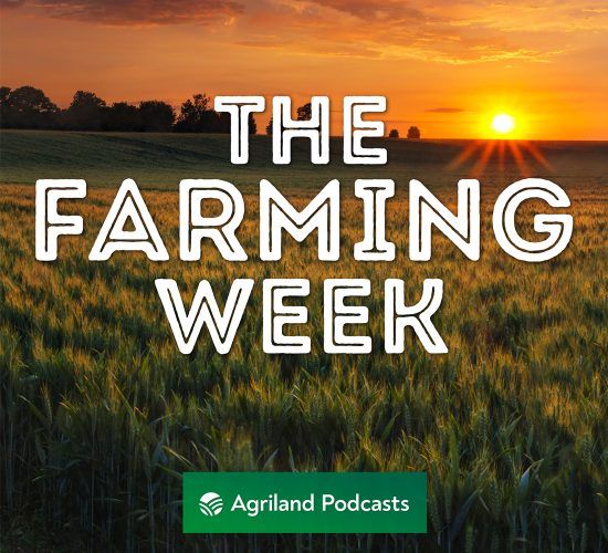 The Farming Week: Beef price pressure, water quality inspections ...
