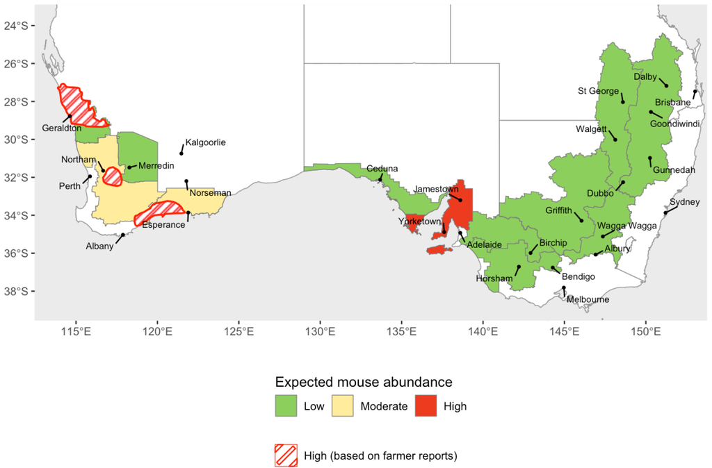 Australian farmers warned of potential mouse 'plague' - Agriland.ie
