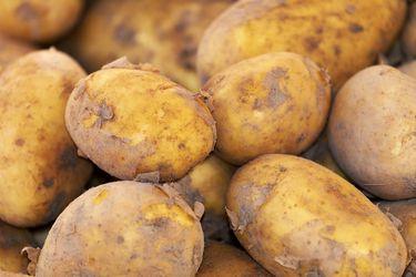 Potato blight advisory issued by Met Éireann - Agriland.ie