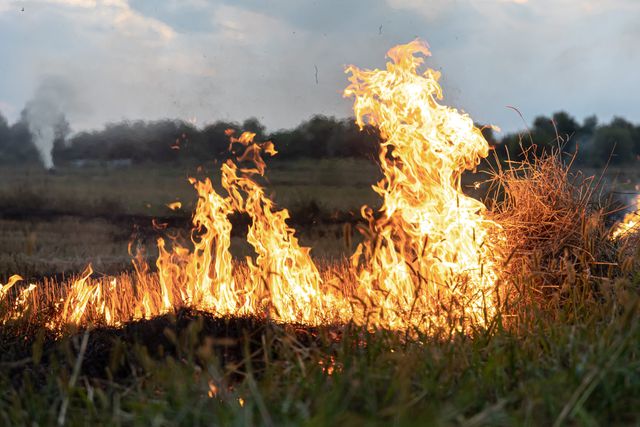 Orange warning issued for forest fire danger this weekend - Agriland.ie