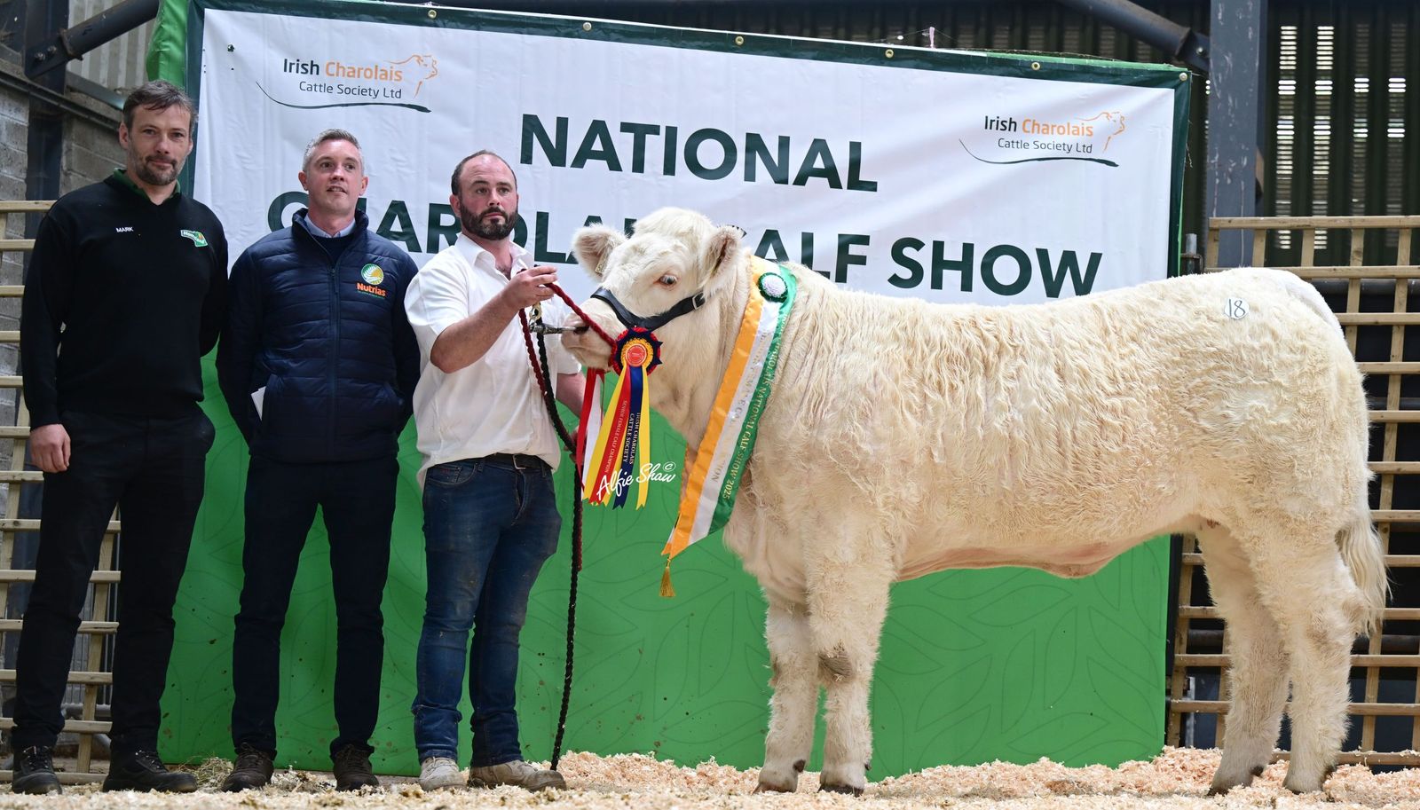 Charolais National Calf Show and Elite Heifer Show and Sale results ...