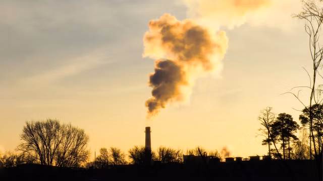 Major food companies 'lagging' on methane targets - report - Agriland.ie