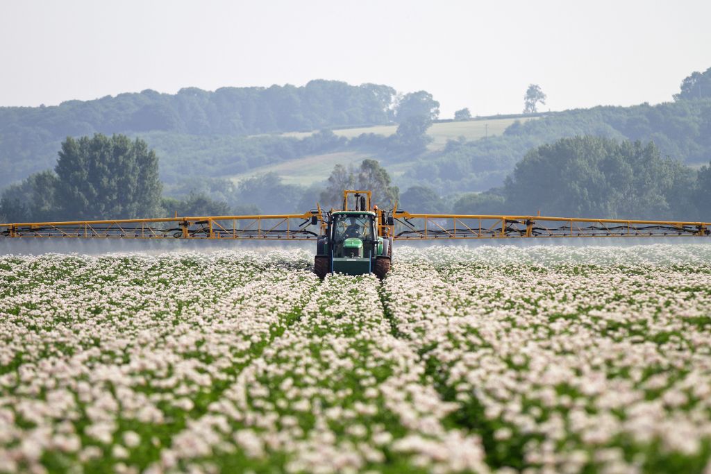 Met Éireann issues potato blight advisory - Agriland.ie