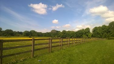 Landowners to be notified of local authority RZLT decisions by June 30 ...