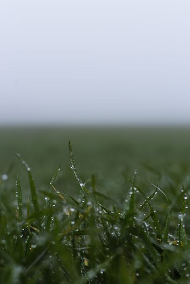 Winter saw 6th season of 'above average temperatures' – Met Éireann ...
