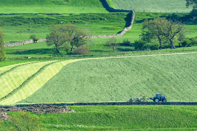 Passing it on: The 'succession effect' on land access and Irish farms ...