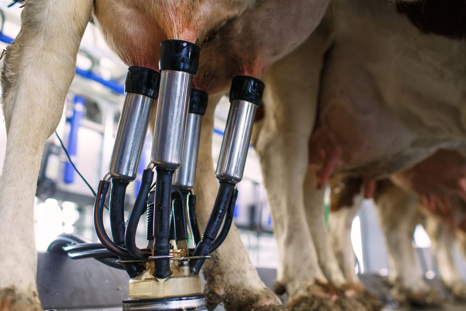 CSO: Milk prices down over 23% in year to April - Agriland.ie